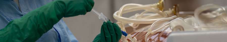 Formulation/Aseptic filling